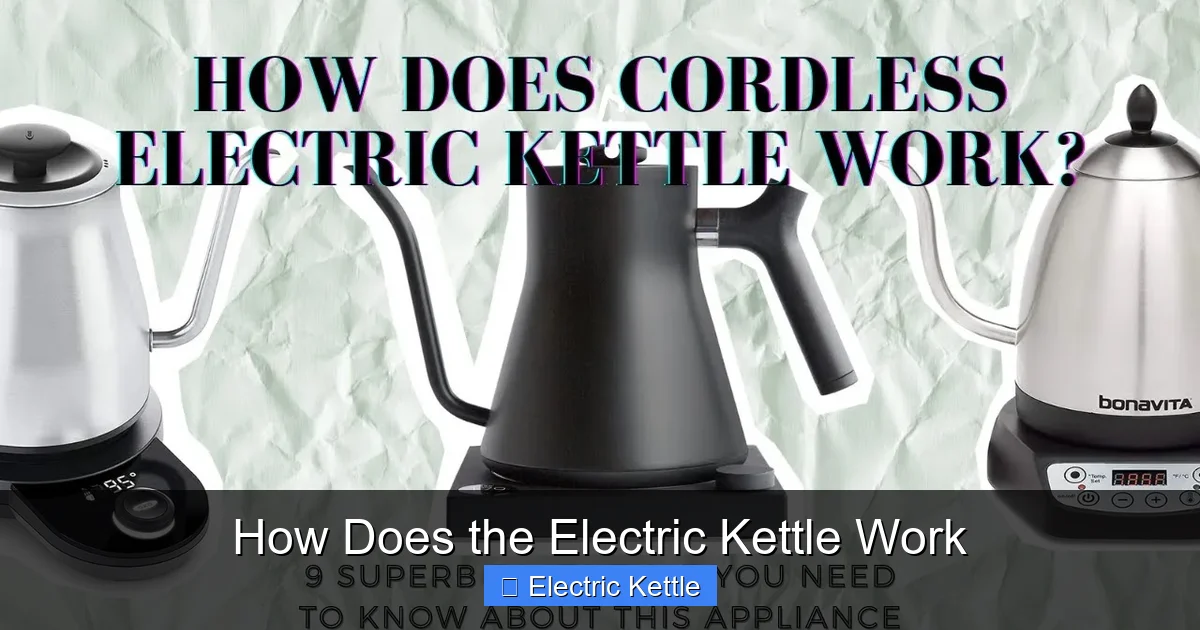 How Does the Electric Kettle Work - Kitchen Zoes