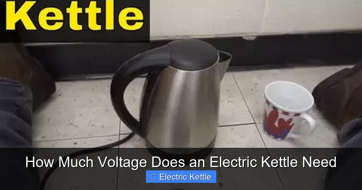 How Much Voltage Does an Electric Kettle Need - Kitchen Zoes