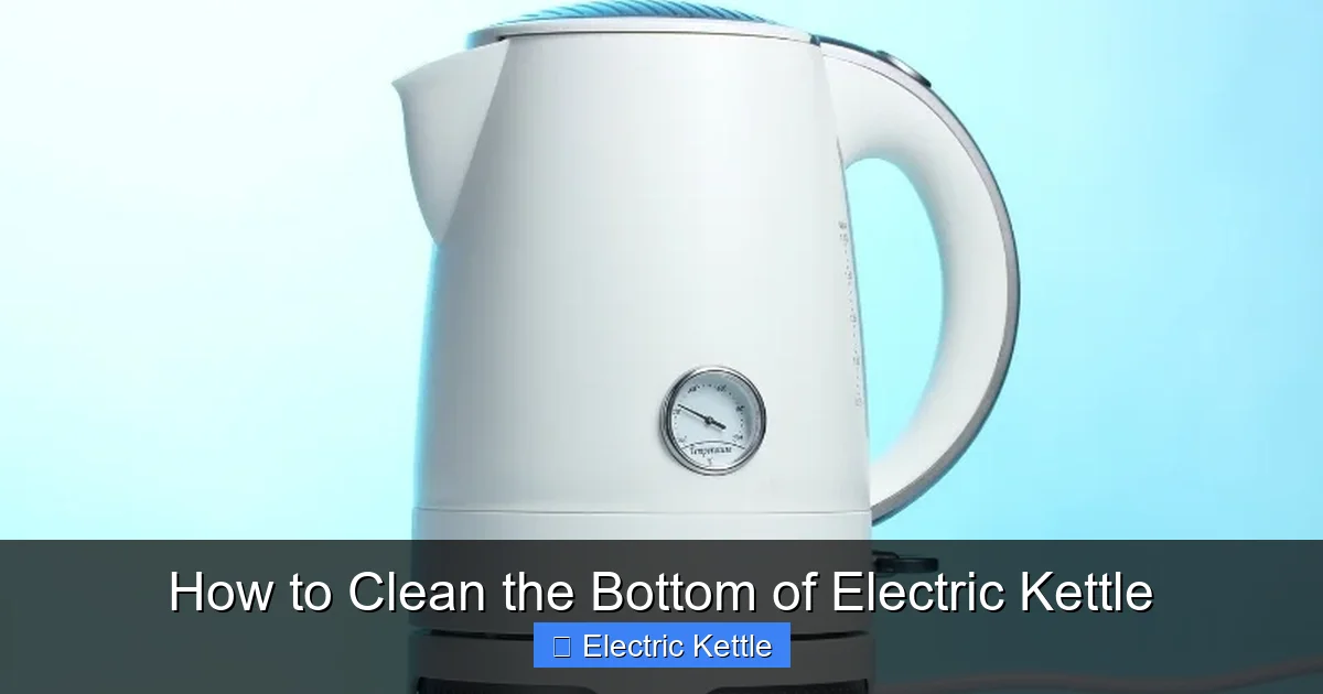 How to Clean the Bottom of Electric Kettle - Kitchen Zoes
