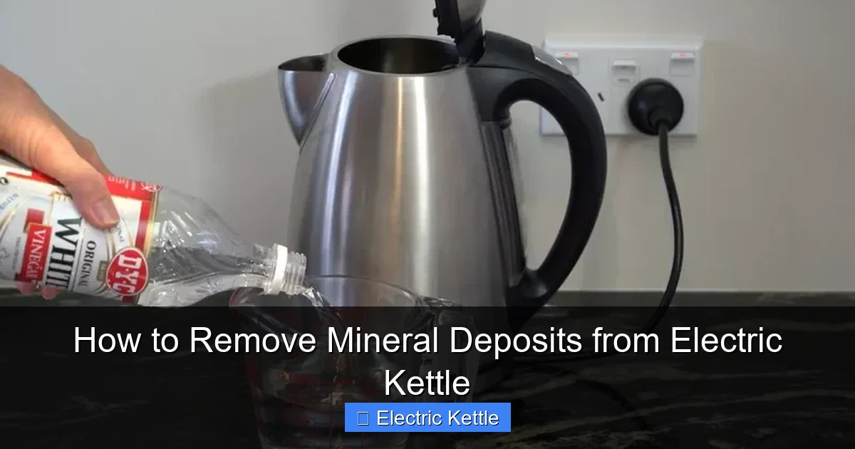 How to Remove Mineral Deposits from Electric Kettle - Kitchen Zoes