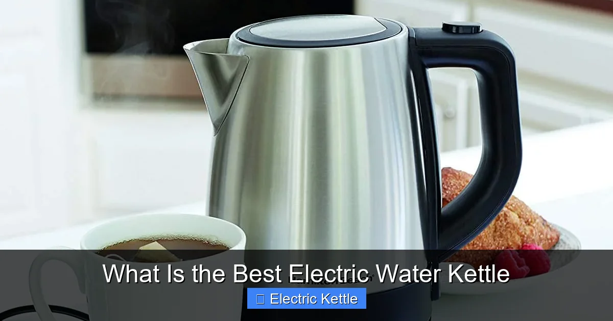 What Is the Best Electric Water Kettle - Kitchen Zoes
