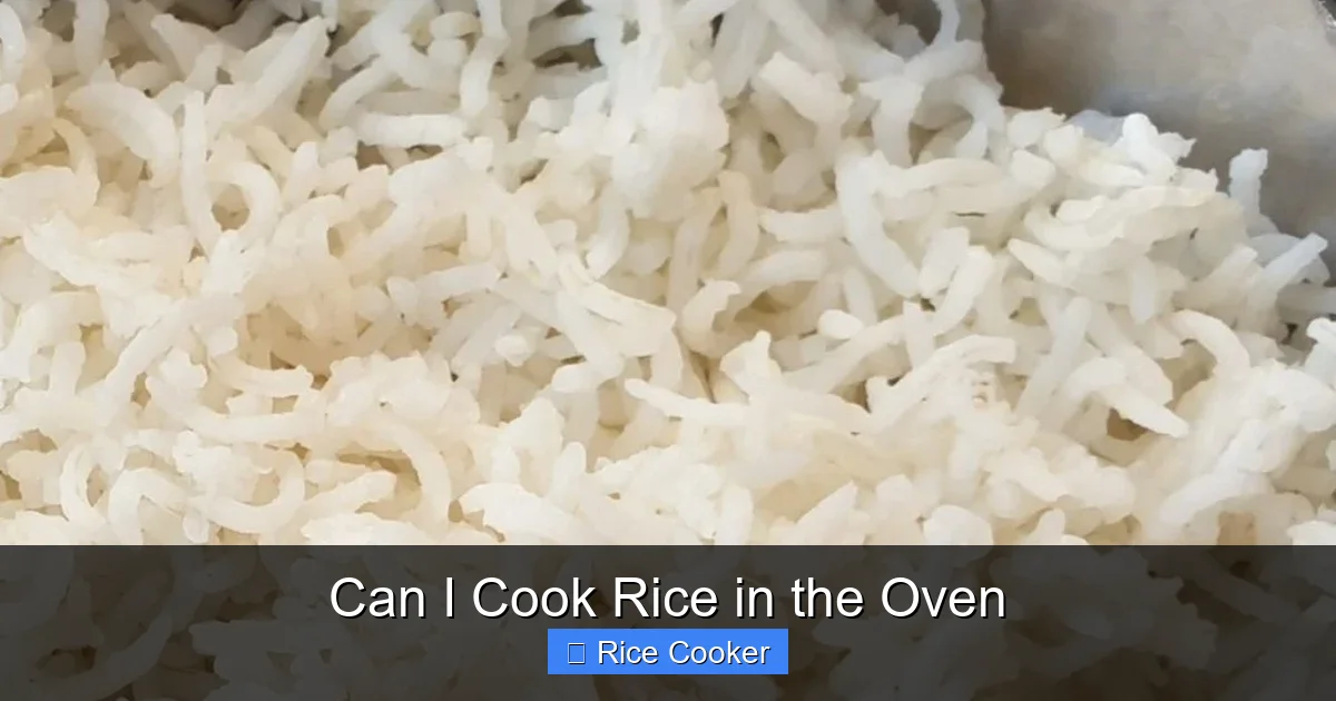 Can I Cook Rice in the Oven - Kitchen Zoes