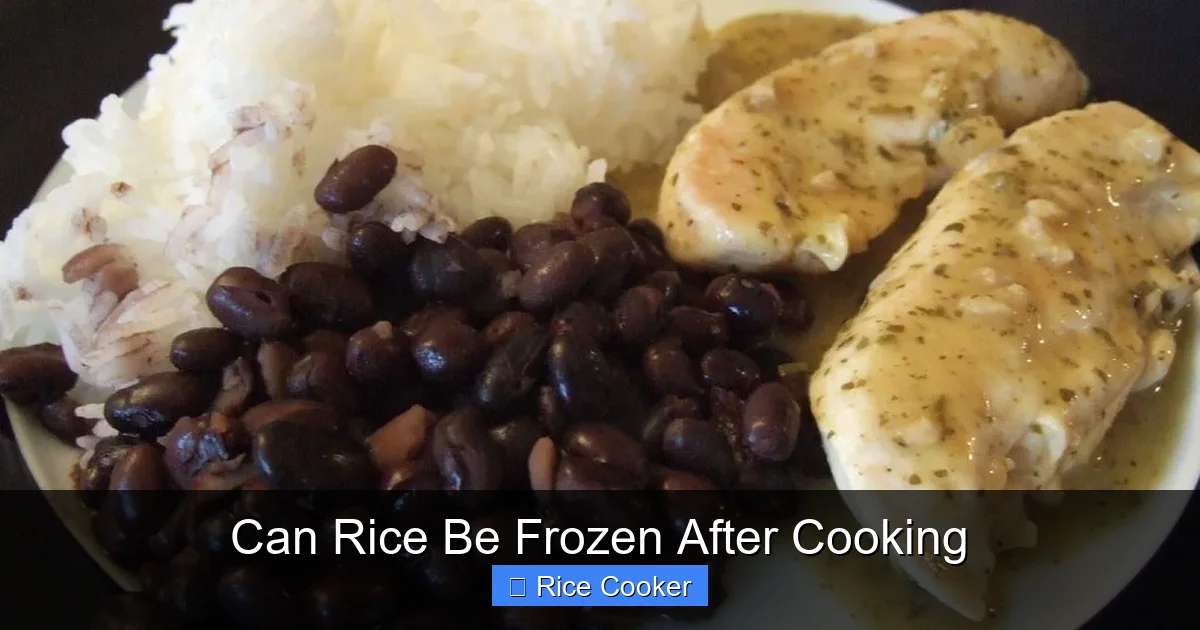 Can Rice Be Frozen After Cooking - Kitchen Zoes