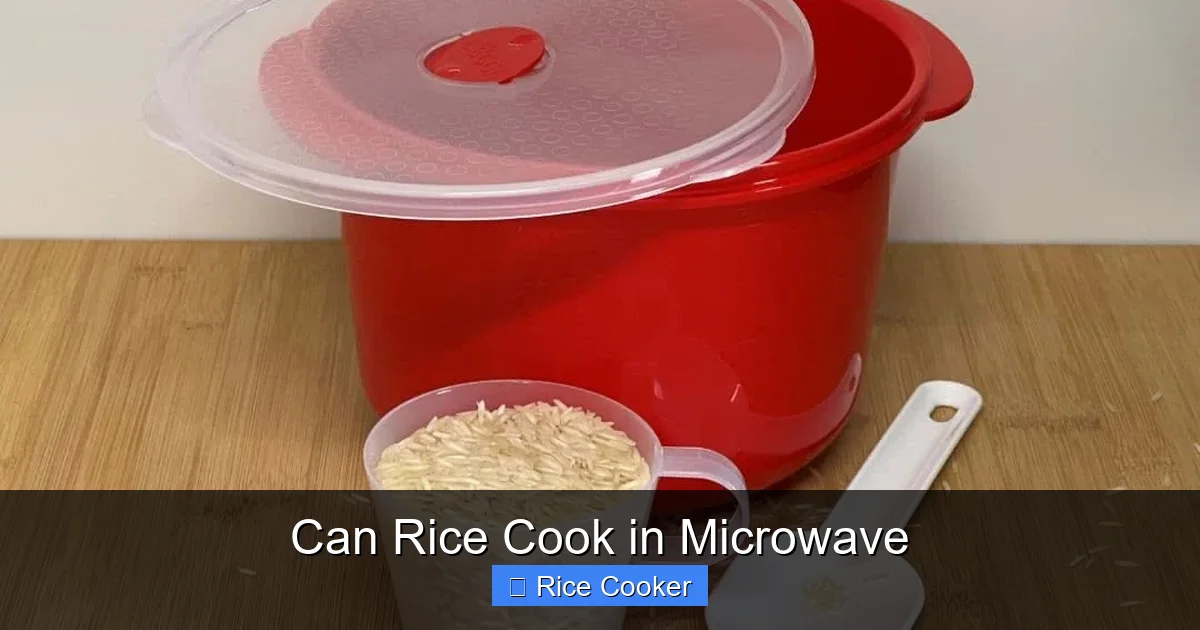 Can Rice Cook in Microwave - Kitchen Zoes