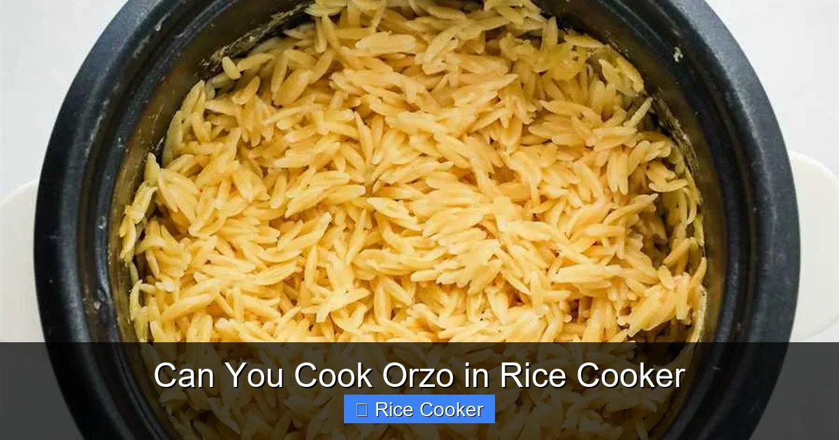Can You Cook Orzo in Rice Cooker - Kitchen Zoes