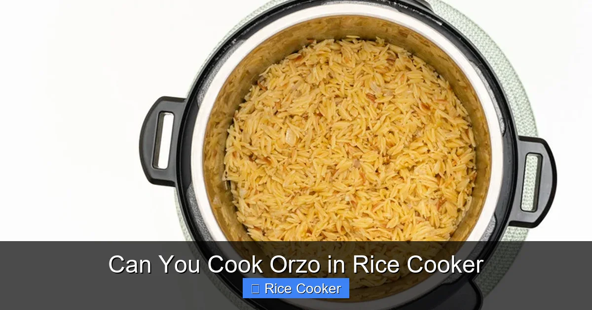 Can You Cook Orzo in Rice Cooker - Kitchen Zoes
