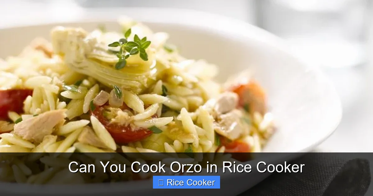 Can You Cook Orzo in Rice Cooker - Kitchen Zoes