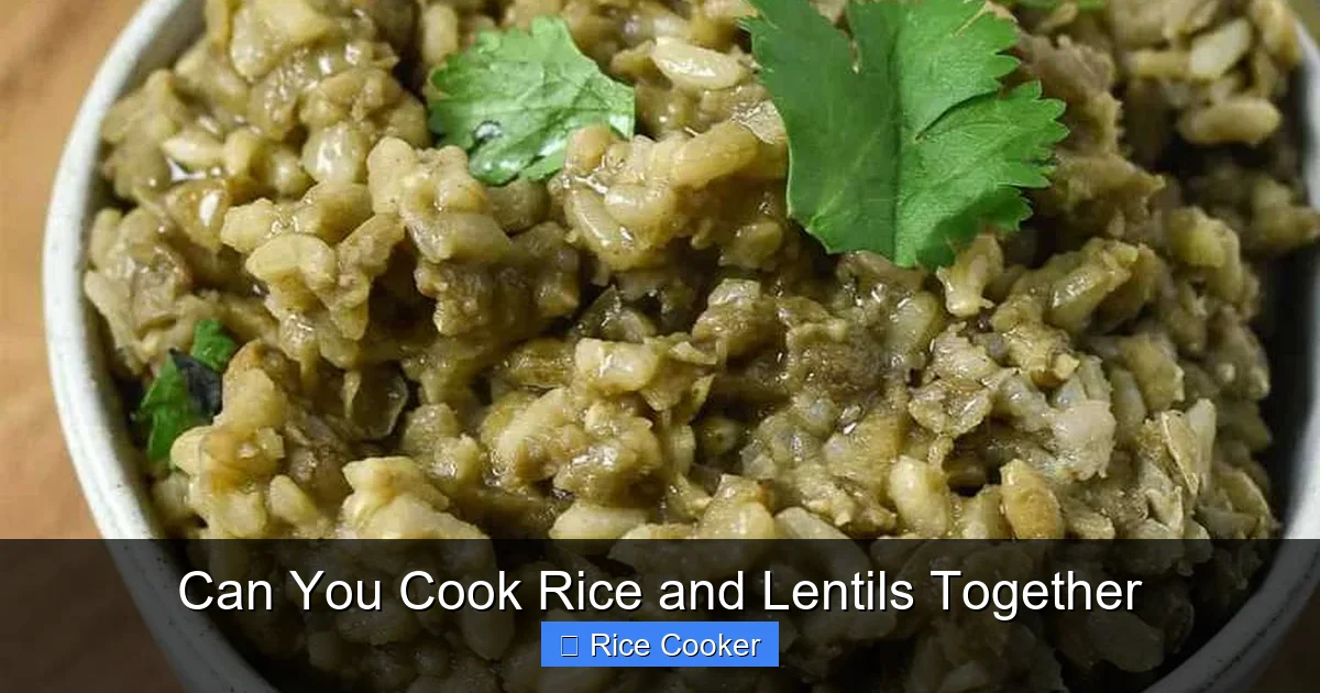 Can You Cook Rice and Lentils Together - Kitchen Zoes